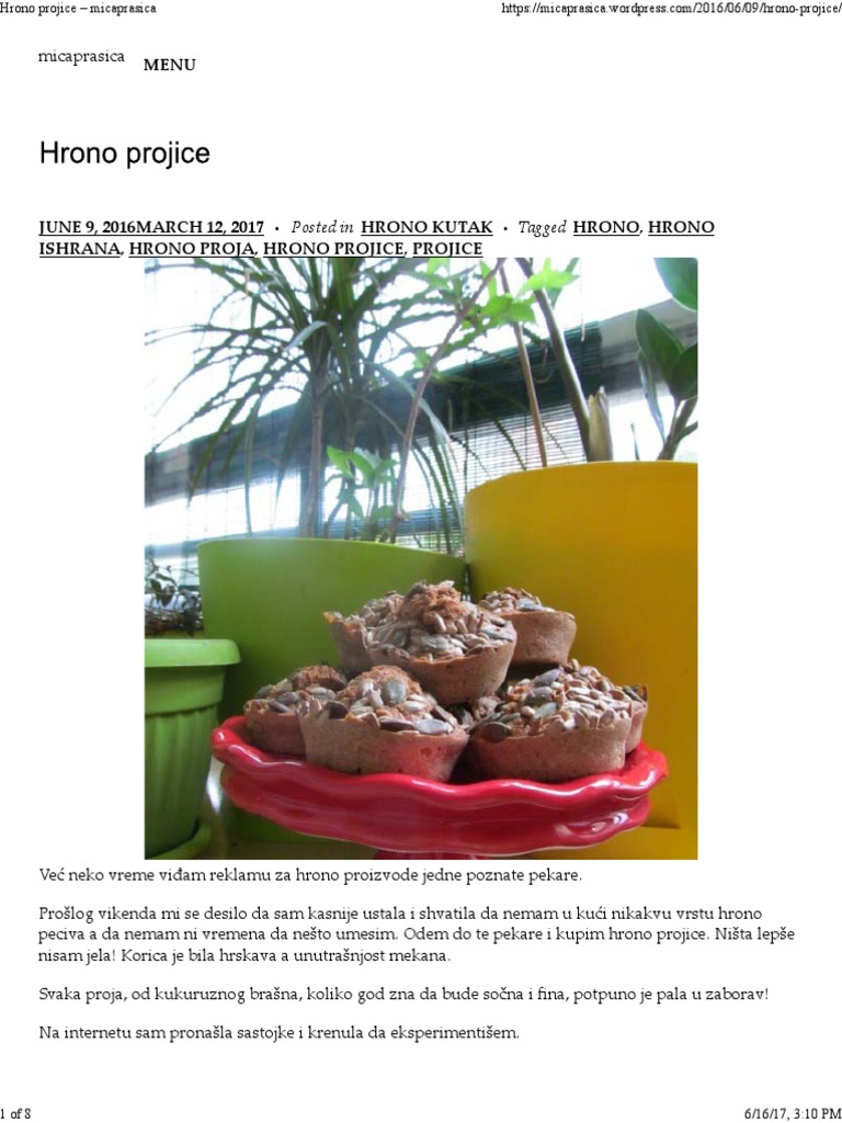 Hrono Projice - Micaprasica | PDF