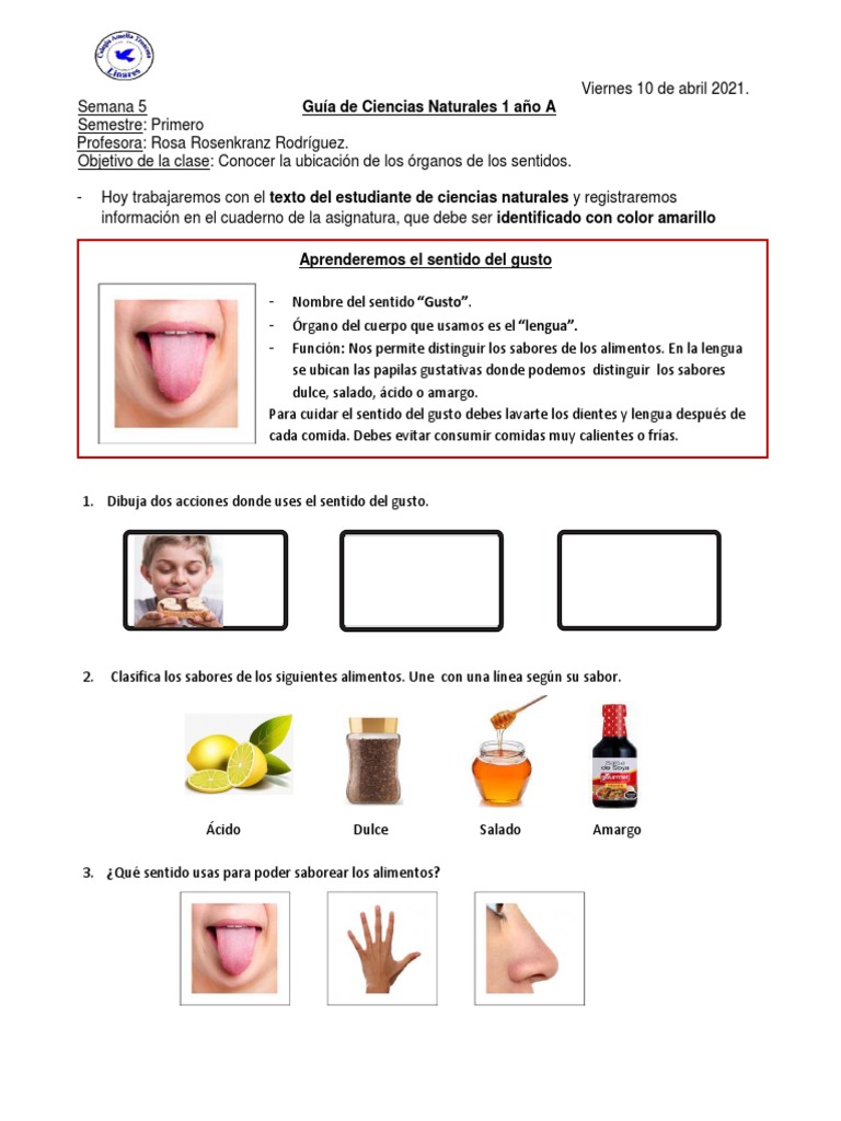 Semana 5 Ciencias | PDF | Gusto | Sabor