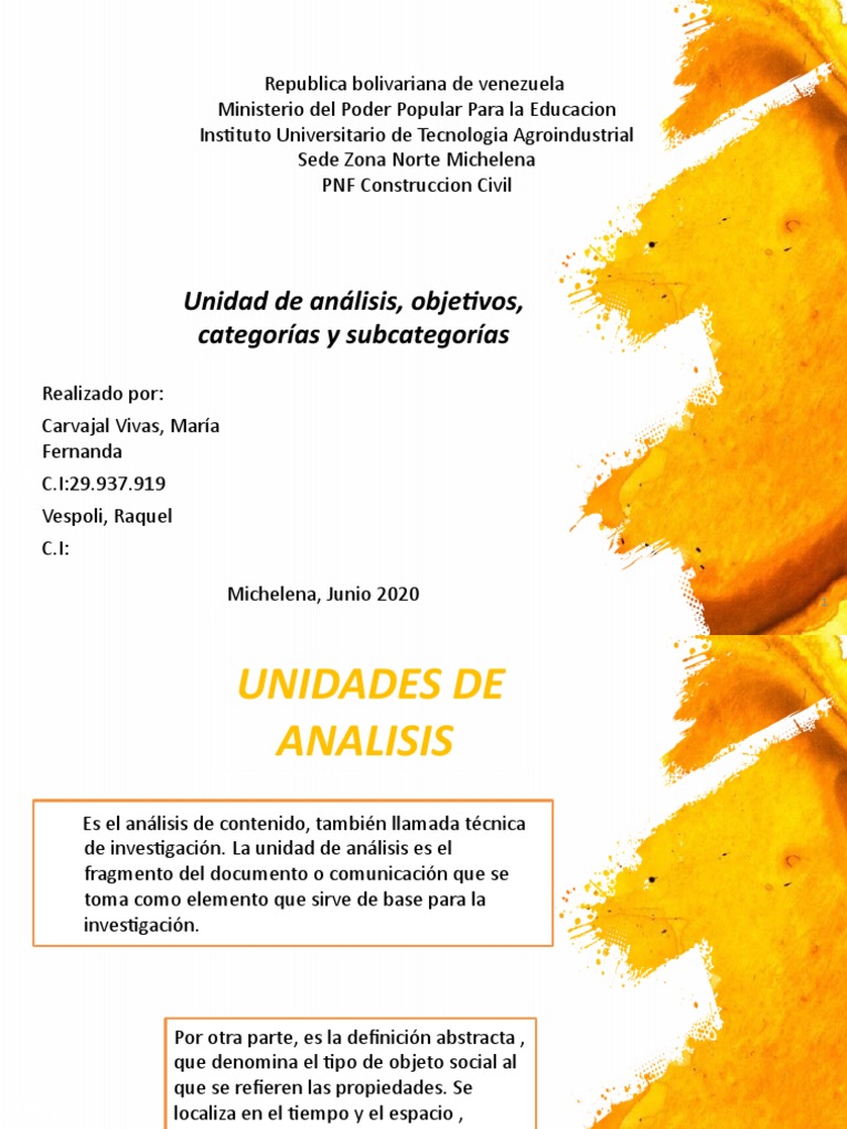 Unidad de Analisis | PDF