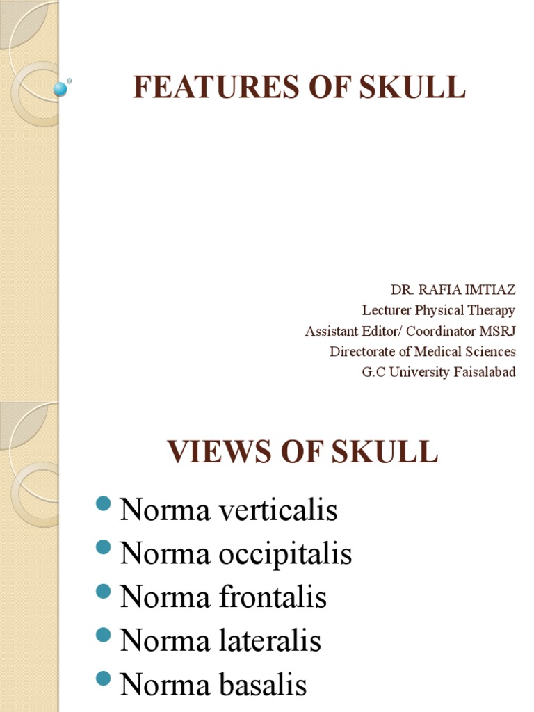 Features of Skull Normas Explained | PDF | Science & Mathematics