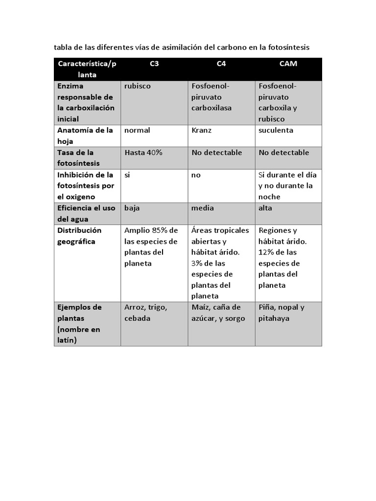 Tabla de Plantas c3 Jc4 y Cam | PDF