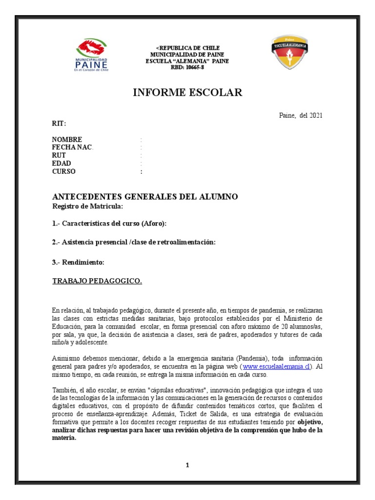 Informe Escolar 2021 - Escuela Alemania Paine | PDF | Educación avanzada