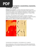 Infecciones en La Piel Por Streptococcus Pyogenes | PDF | Microbiología ...