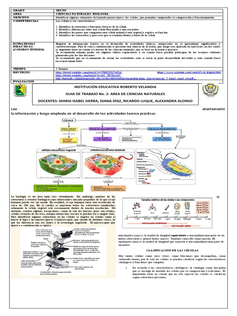 Estructura y Función de las Células | PDF | Vacuole | Biología Celular)