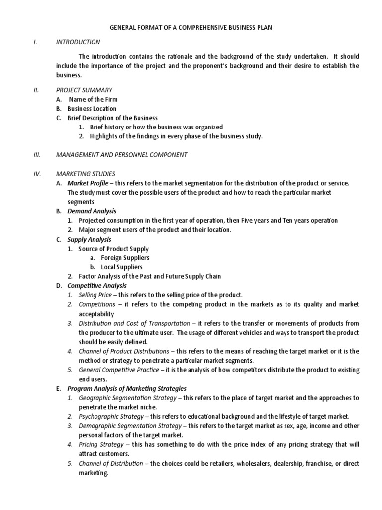 General Format of A Comprehenisve Business Plan | PDF | Balance Sheet ...