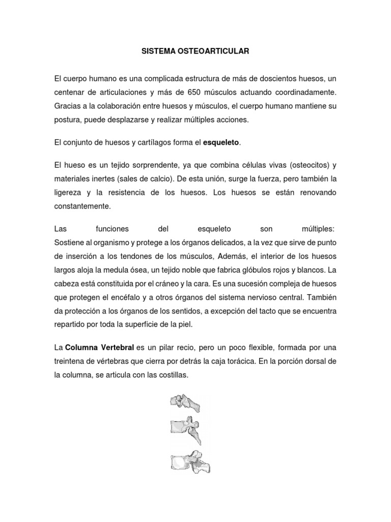 Articulaciones y Sistema Osteoarticular | PDF | Hueso | Articulación