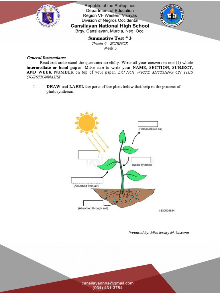 Grade 9 Science Quarter 1 Test | PDF | Mitochondrion | Chloroplast