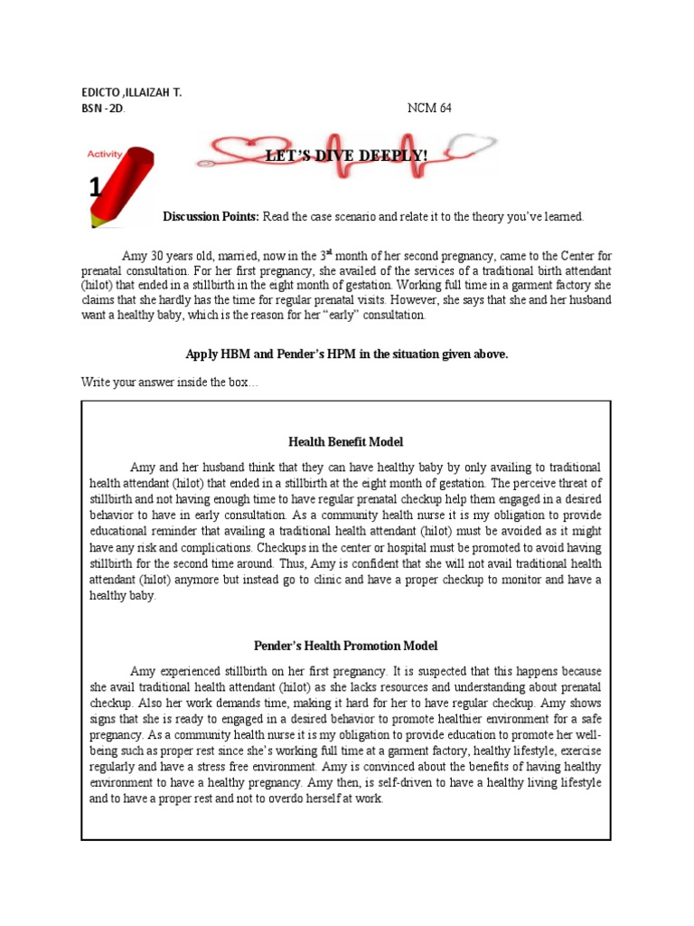 Applying HBM and Pender's HPM to Promote Healthy Pregnancy | PDF | Prenatal Development | Pregnancy