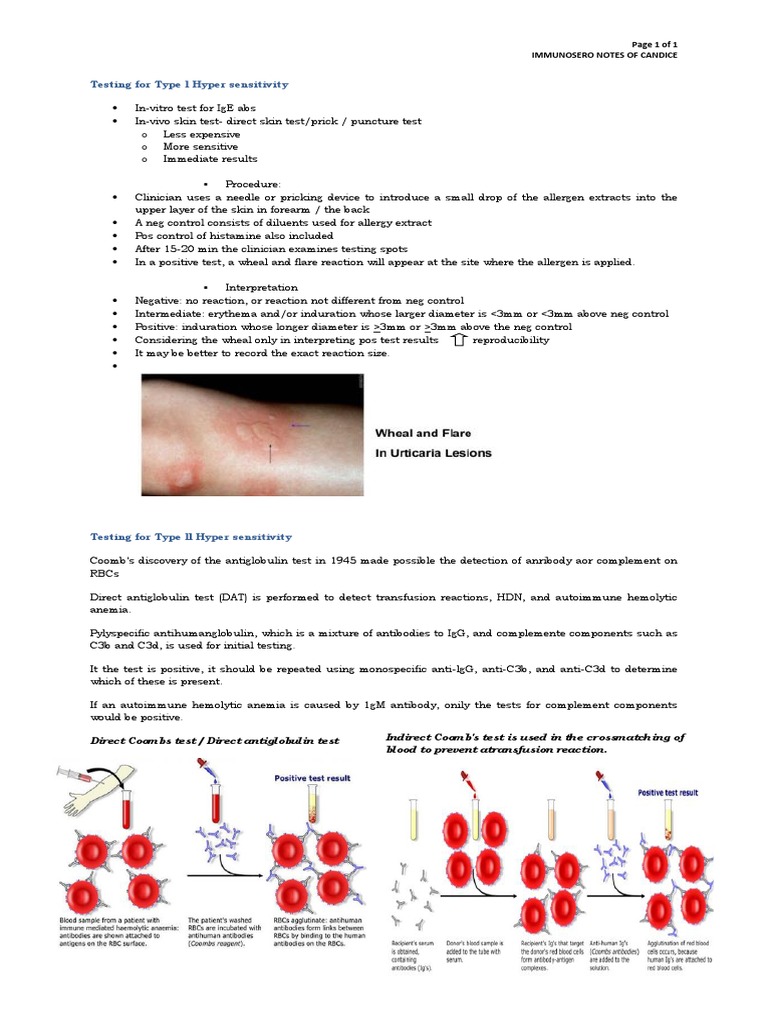 Testing For Type LL Hypersensitivity | PDF