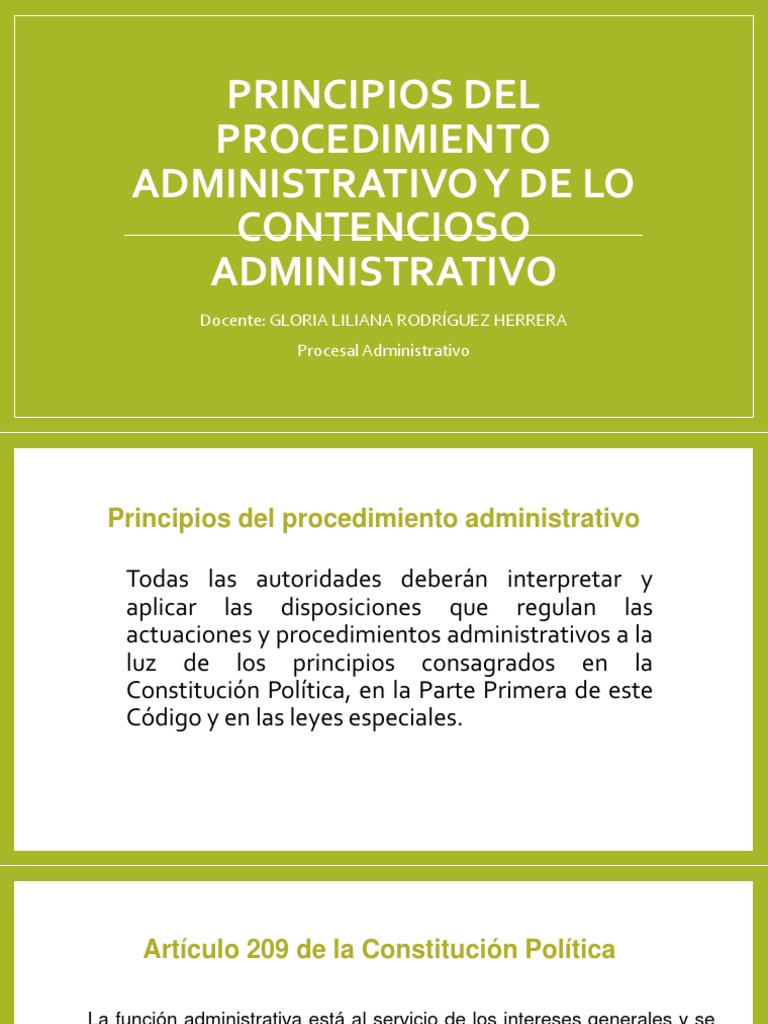 Diapositivas Principios Del Procedimiento Administrativo y de Lo Contencioso Adm. | PDF | Debido ...