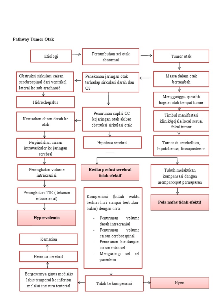 Pathway Tumor Otak Siki Sdki | PDF