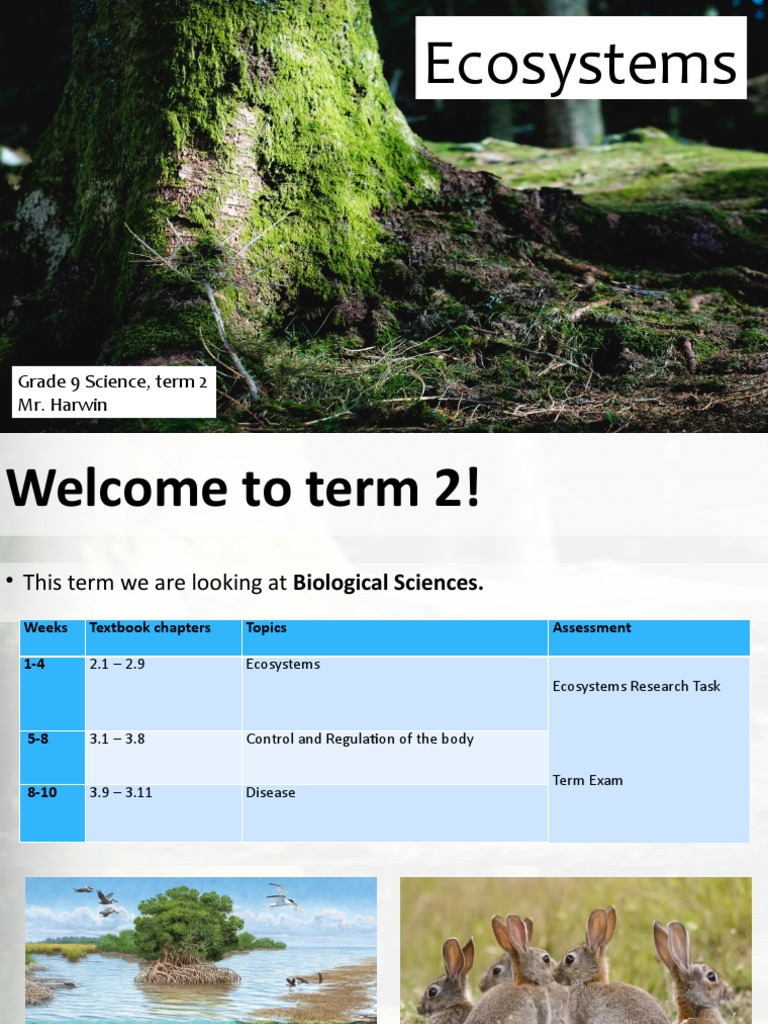 Grade 9 Ecosystems Study Guide | PDF | Ecosystem | Symbiosis