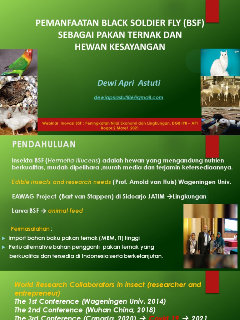 PPT BSF Untuk Pakan Ternak (Dgb-API) 2021pdf | PDF