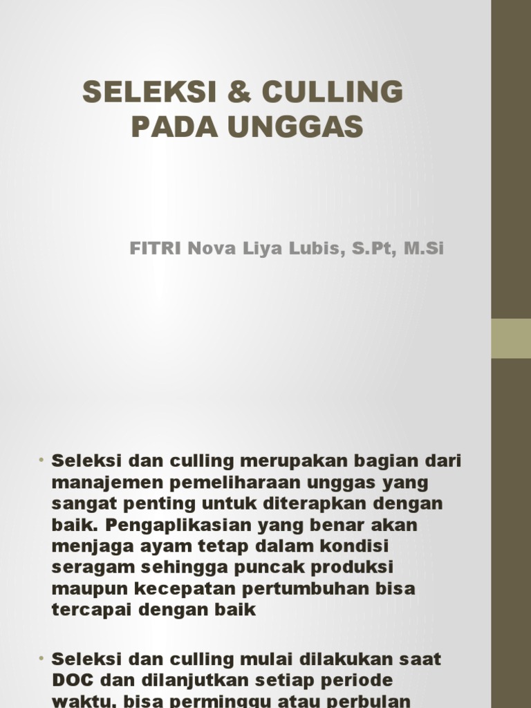 Seleksi dan Culling Ayam Unggas | PDF