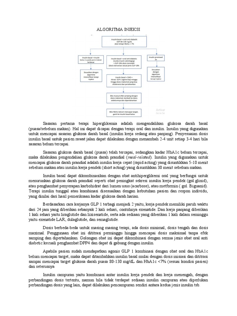 Algoritma Pemberian Insulin DM | PDF | Kesehatan Holistik