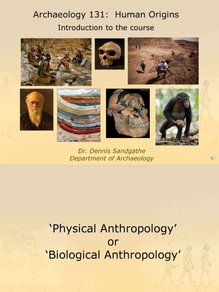 Archeology Notes 131 | PDF | Dna | Genetics