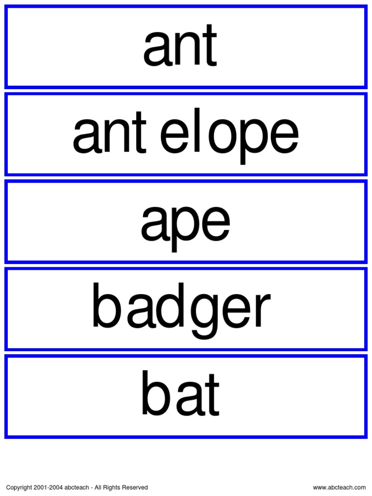 Word Wall Sample Animals | PDF | Nature
