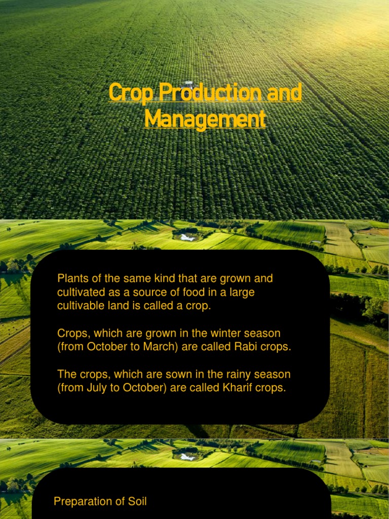 Crop Production and Management | PDF | Sowing | Plough