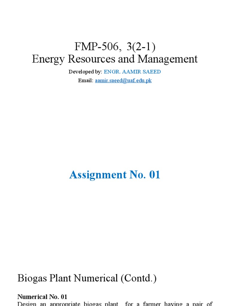 FMP-506 Assignment | PDF