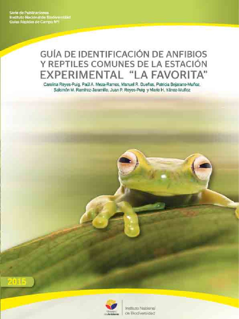 L Identificacion de Anfibios y Reptiles La Favorita-1 | PDF | Ecuador ...