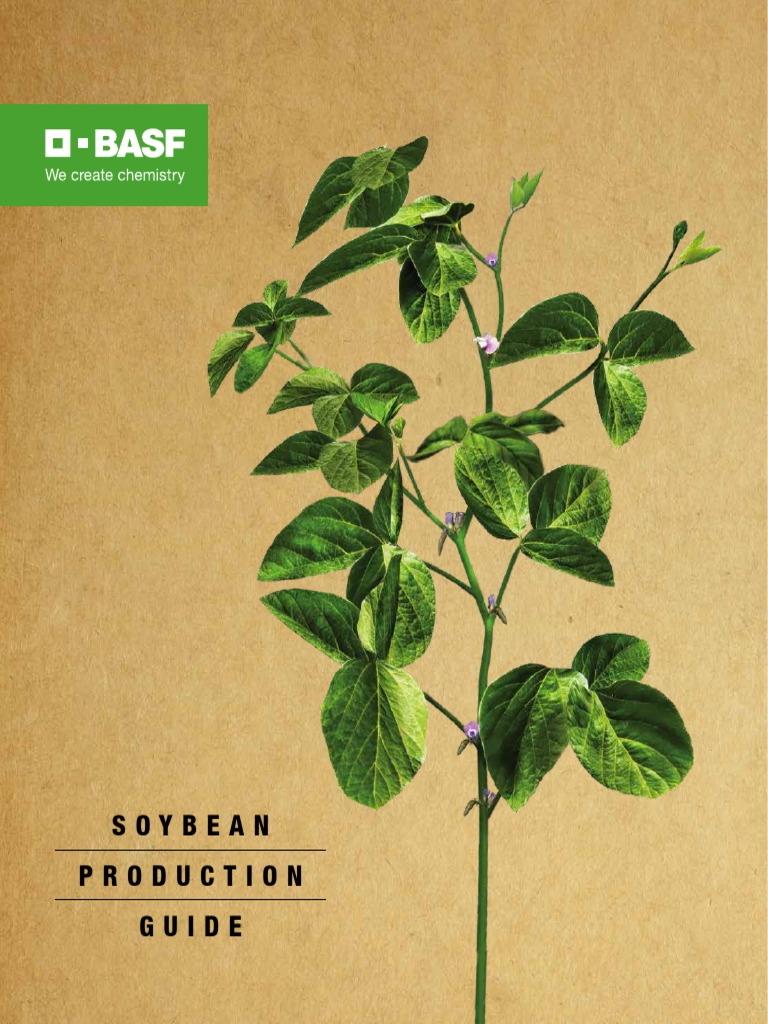 Soybean Production Guide BASF | PDF | Soybean | Legume