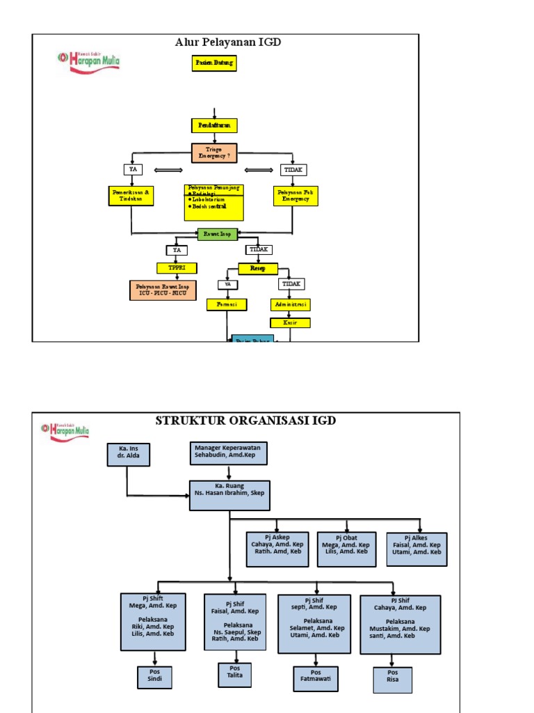 Alur Pelayanan Igd | PDF
