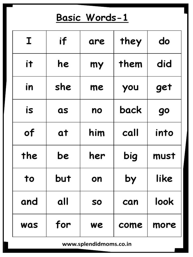 Basic English Vocabulary for Beginners | PDF