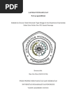 LP Appendicitis | PDF