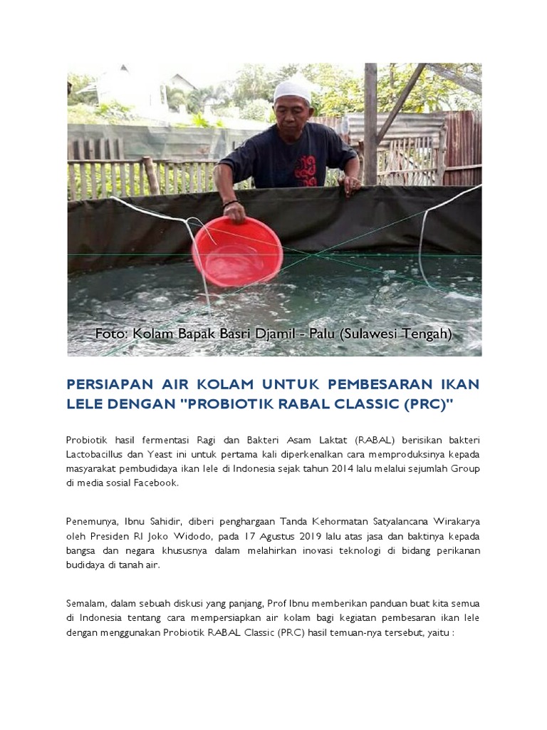 Persiapan Kolam Lele dengan Probiotik Rabal | PDF