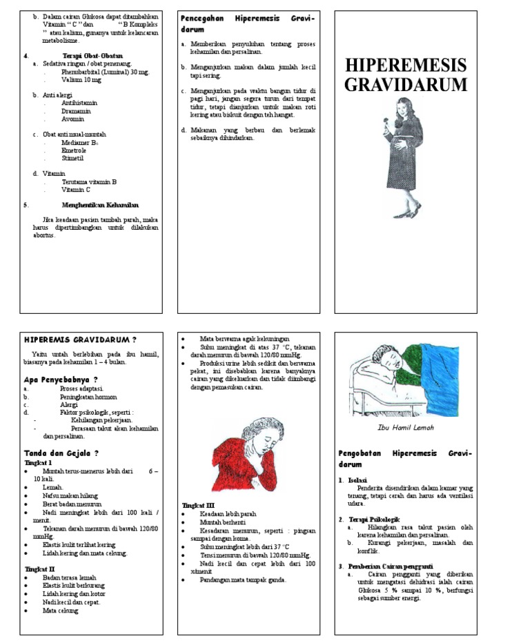 Leaflet Hiperemesis Gravidarum | PDF
