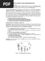 5 E Lesson Plan For Second Grade Life Cycles | PDF | Pupa | Butterfly