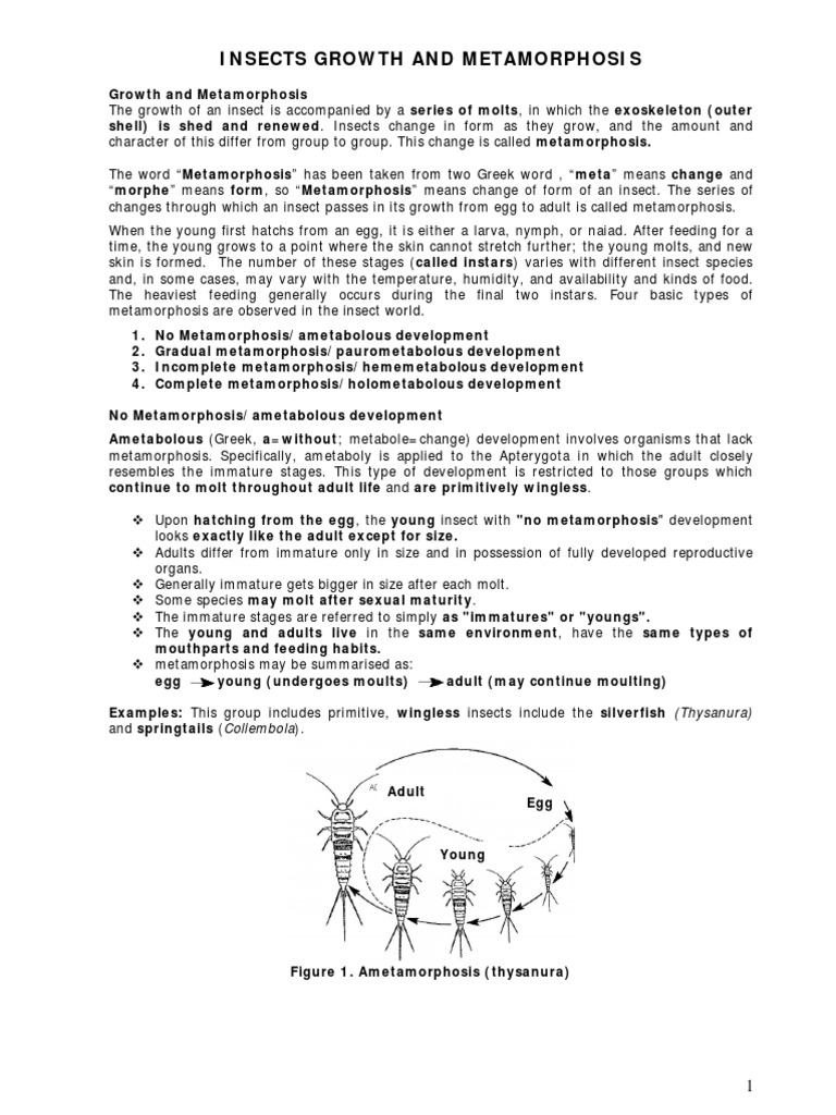 Insects Growth and Metamorphosis | PDF | Pupa | Insects