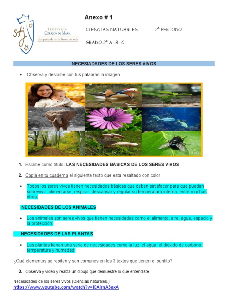 Necesidades Basicas De Los Seres Vivos