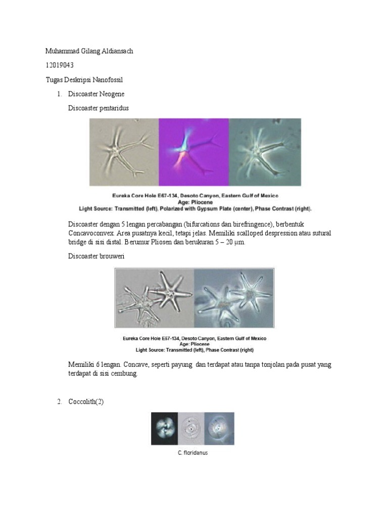 Muhammad Gilang Aldiansach | PDF