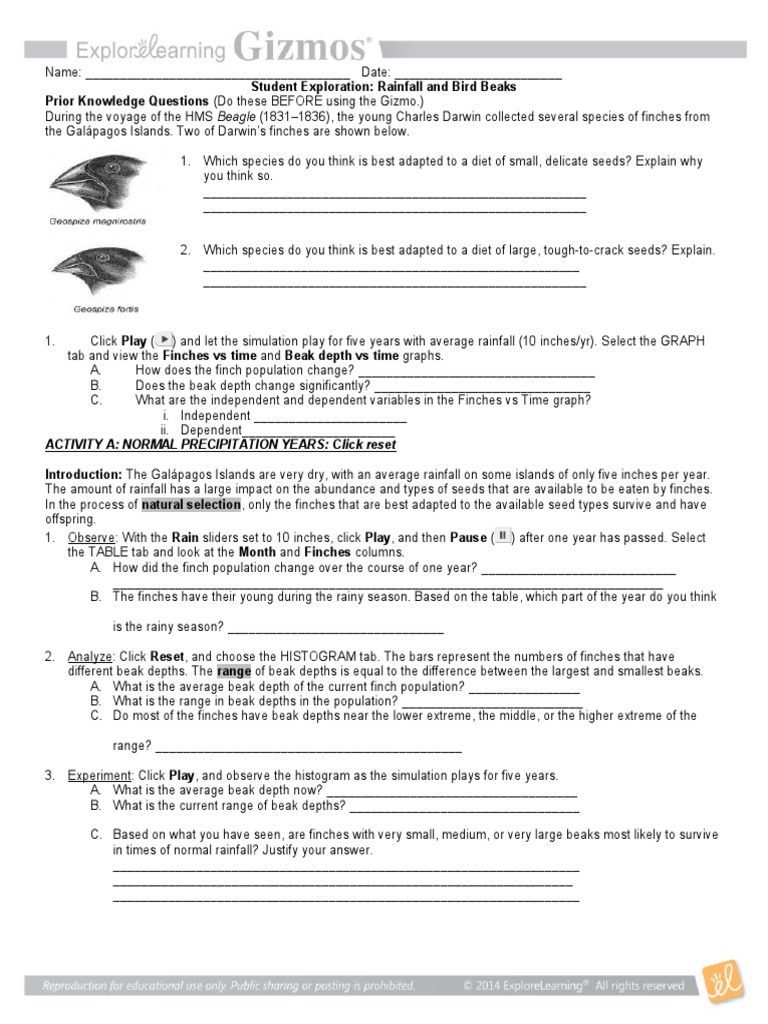 Student Exploration: Rainfall and Bird Beaks Prior Knowledge Questions ...