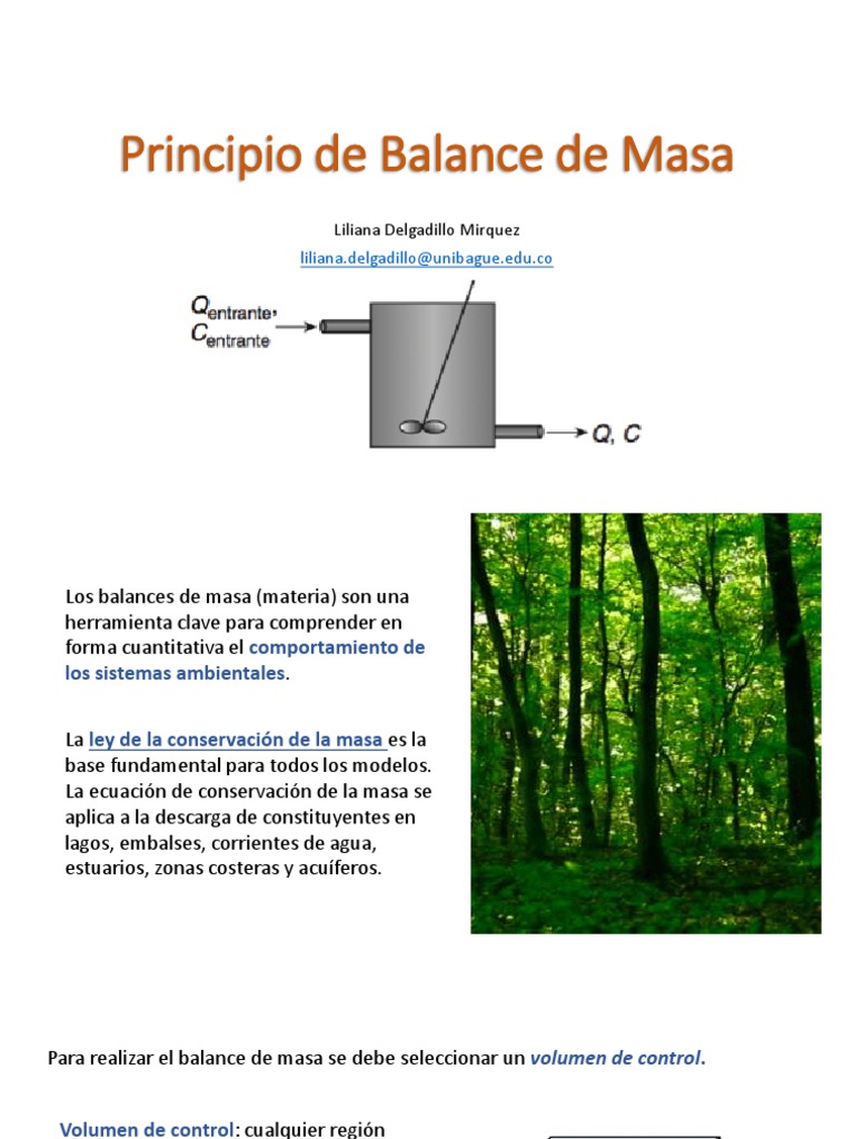 9 Principio de Balance de Masa | PDF