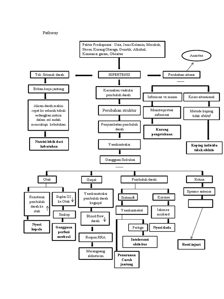 Pathway Hipertensi | PDF
