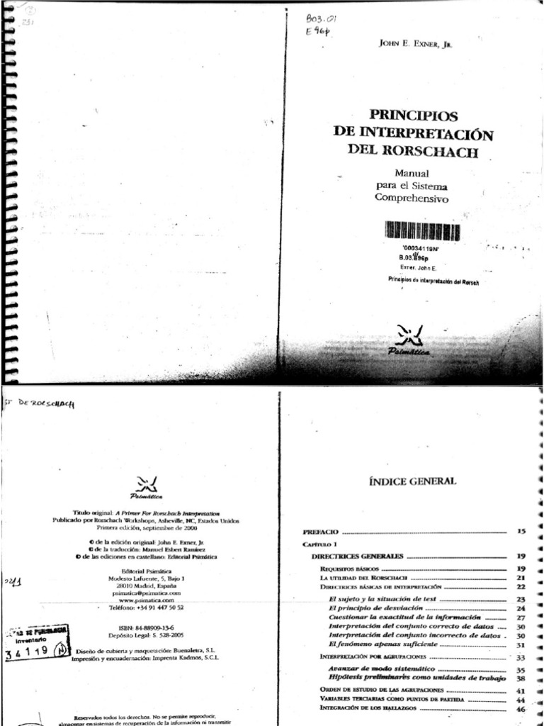 Principios de Interpretación Del Rorschach - John E. Exner | PDF
