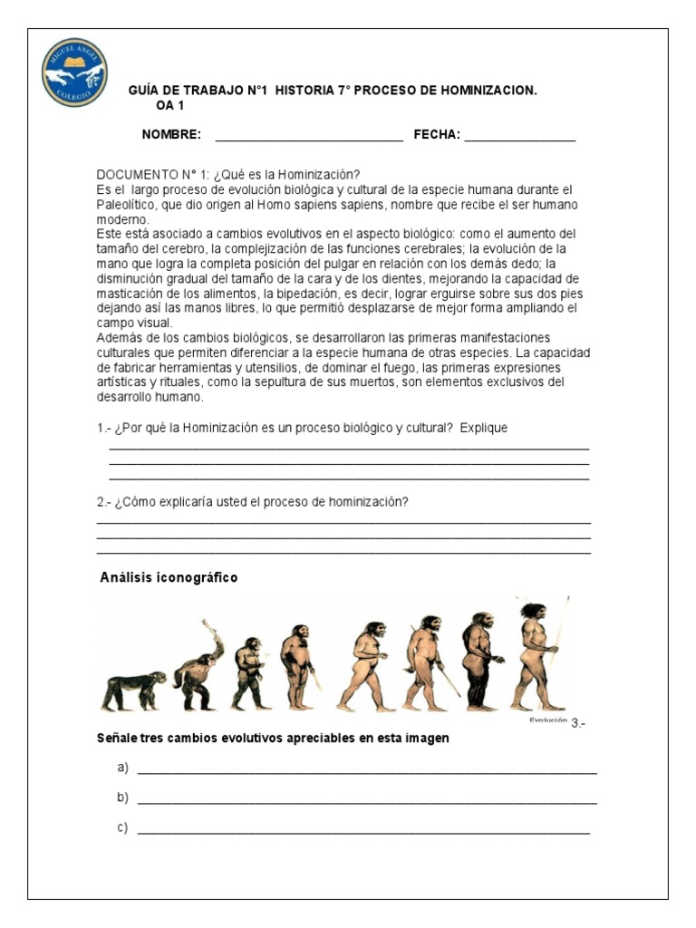 Guía #1 Historia 7° Proceso de Hominización | PDF | Estudios de idiomas ...