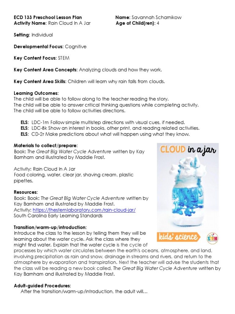Lesson Plan 3 | PDF | Water Cycle | Rain