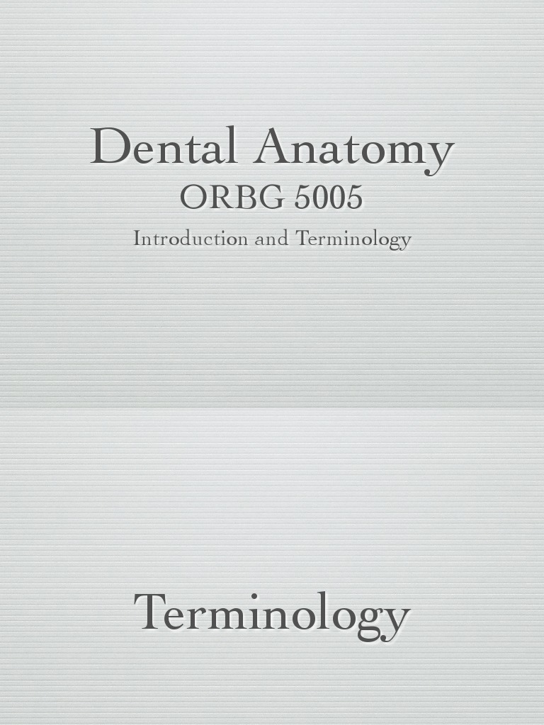 Lecture 1 Powerpoint Version | PDF | Human Tooth | Tooth