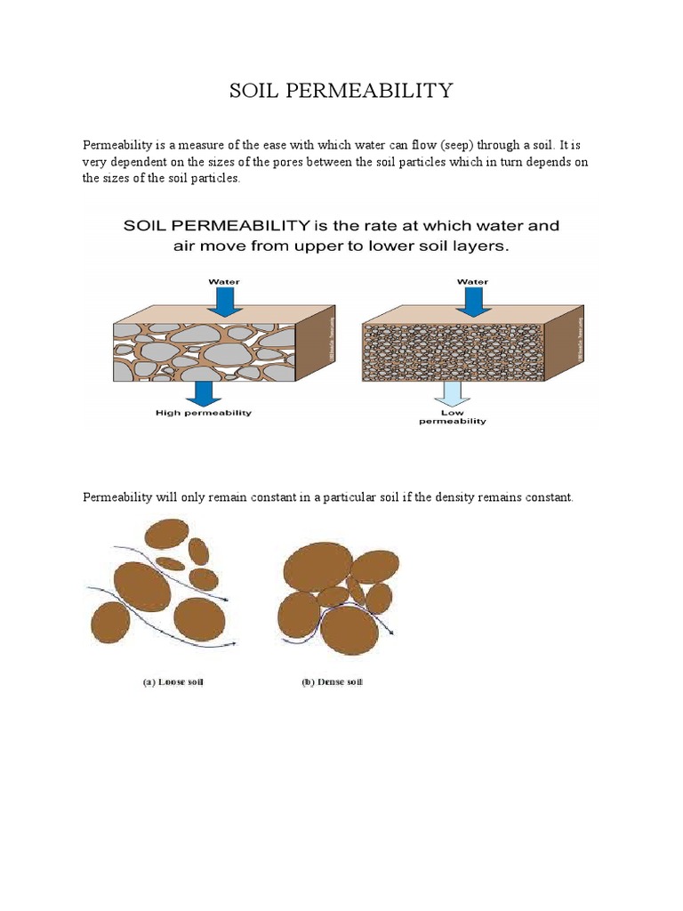 SOIL PERMEABILITY (Word) | PDF