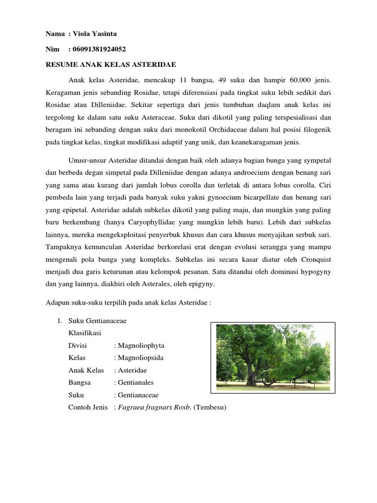 Resume BTB Asteridae. | PDF