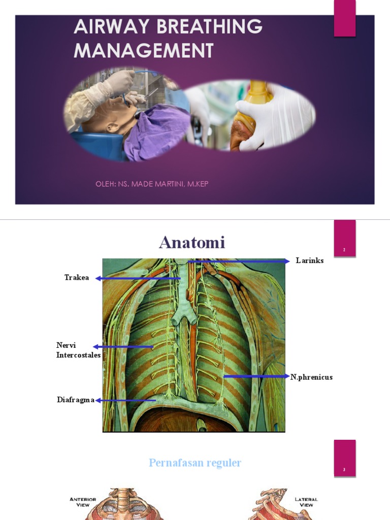 AIRWAY BREATHING MANAGEMENT Fix | PDF | Respiratory System | Clinical ...