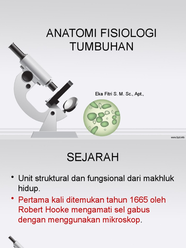 Pertemuan Ke 910 SEL TUMBUHAN | PDF