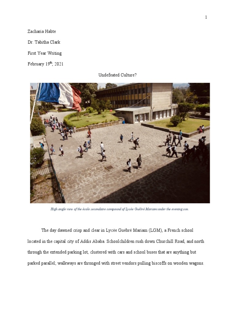 Profile Assignment Final - Zacharia Habte 001077885 | PDF | Clothing