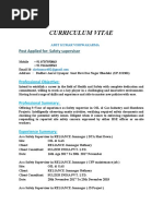 Document Controller CV Format | PDF | Microsoft Excel | Computing