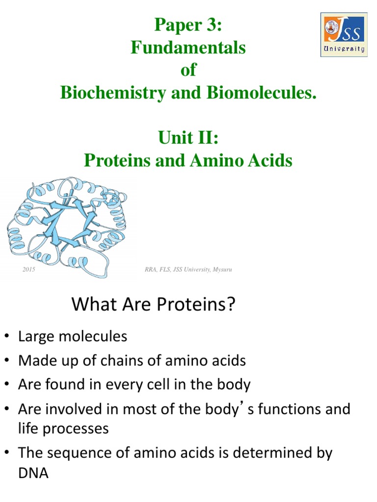 Understanding the Fundamentals of Proteins: A Comprehensive Review of ...
