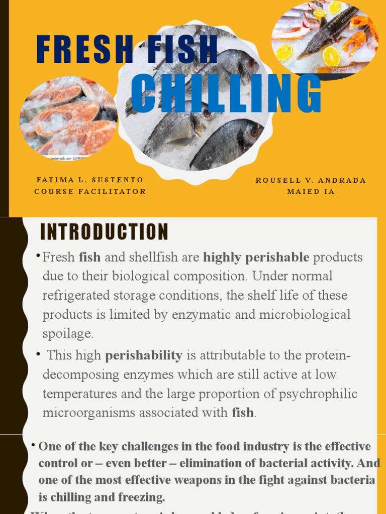 Chilling Fresh Fish | PDF | Ice | Freezing