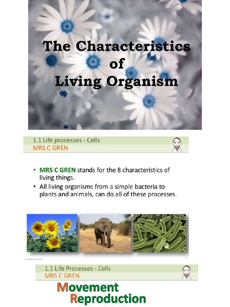 Characteristics of Living Organisms | PDF